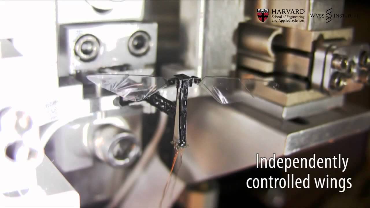 Insect Size RoboBee Performs Controlled Flight - YouTube