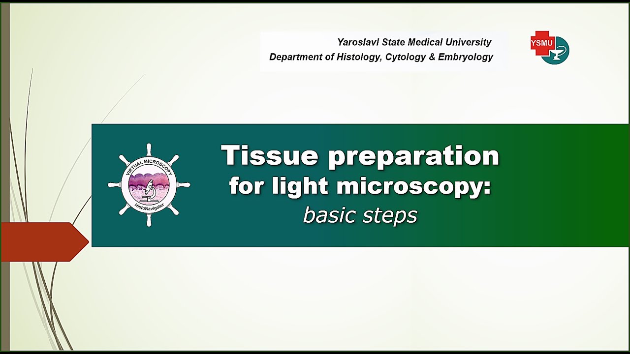 01a. Tissue preparation for light microscopy: basic steps - YouTube