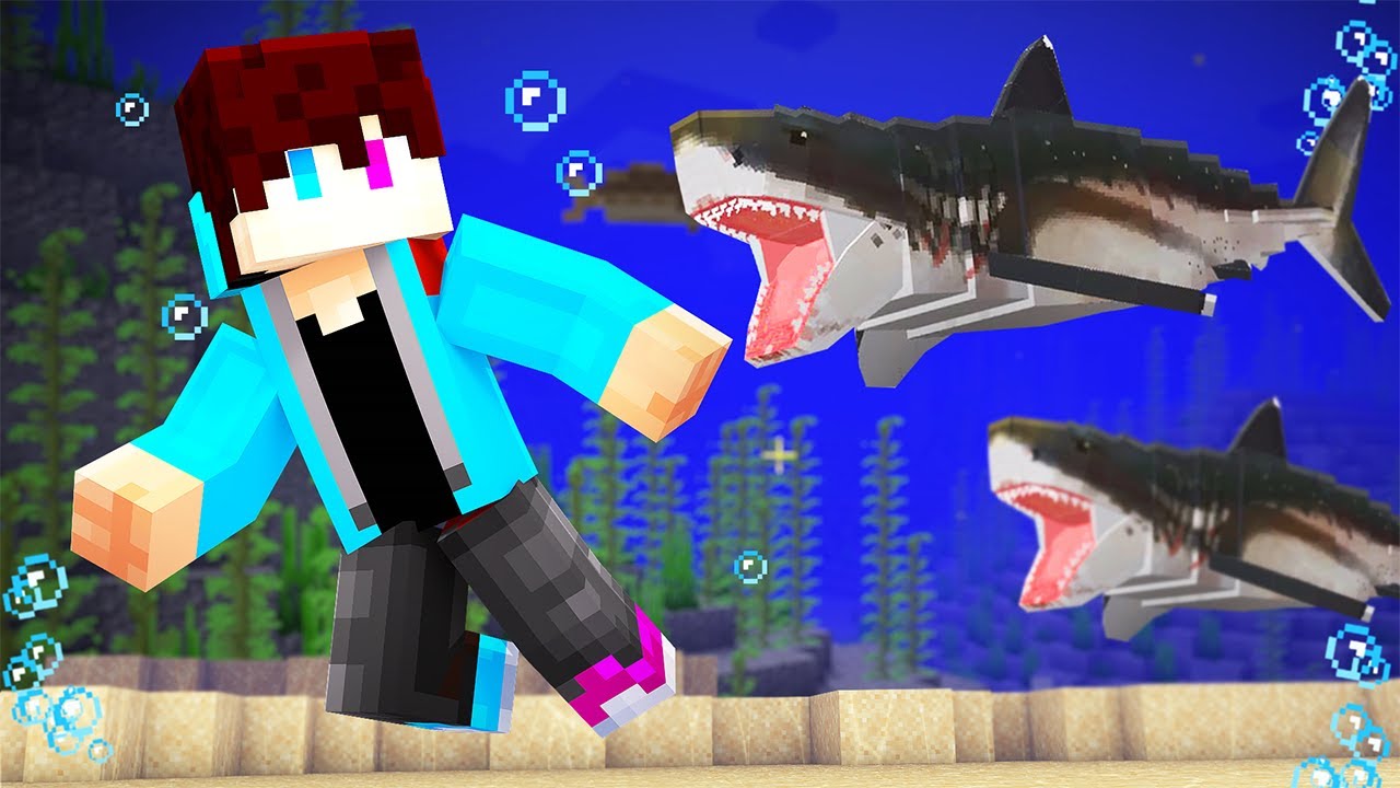 Ik Werd AANGEVALLEN Door Een HAAI In MINECRAFT! - YouTube