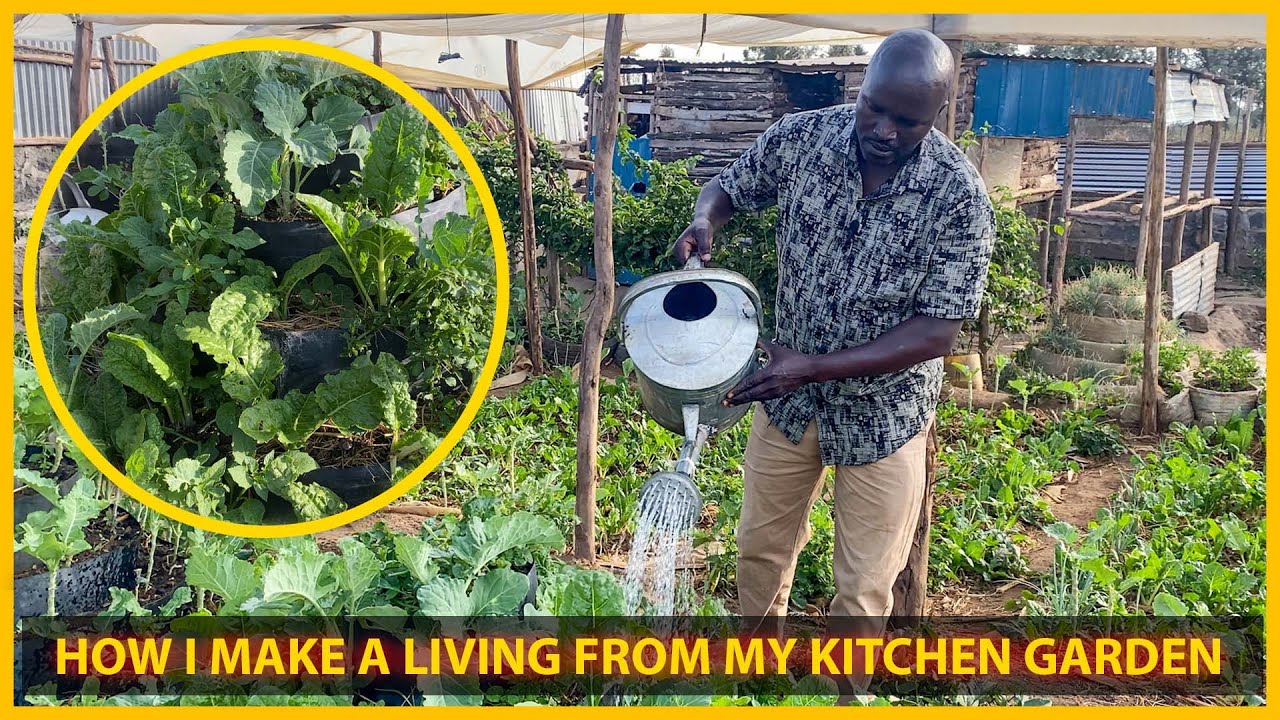 Kitchen Garden Farming || How I Make Money From My Kitchen Garden - YouTube