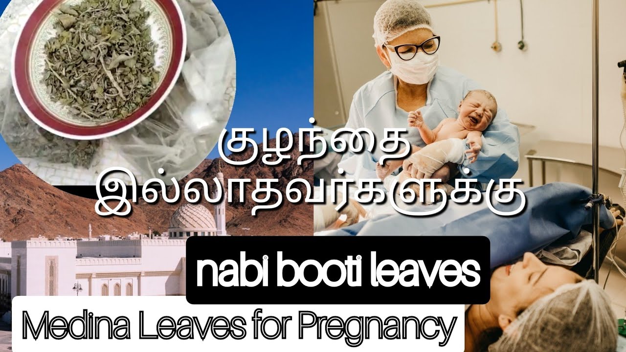 nabi booti குழந்தை இல்லாதவர்களுக்கு மூலிகை இலைகள் Madina leaces for ...