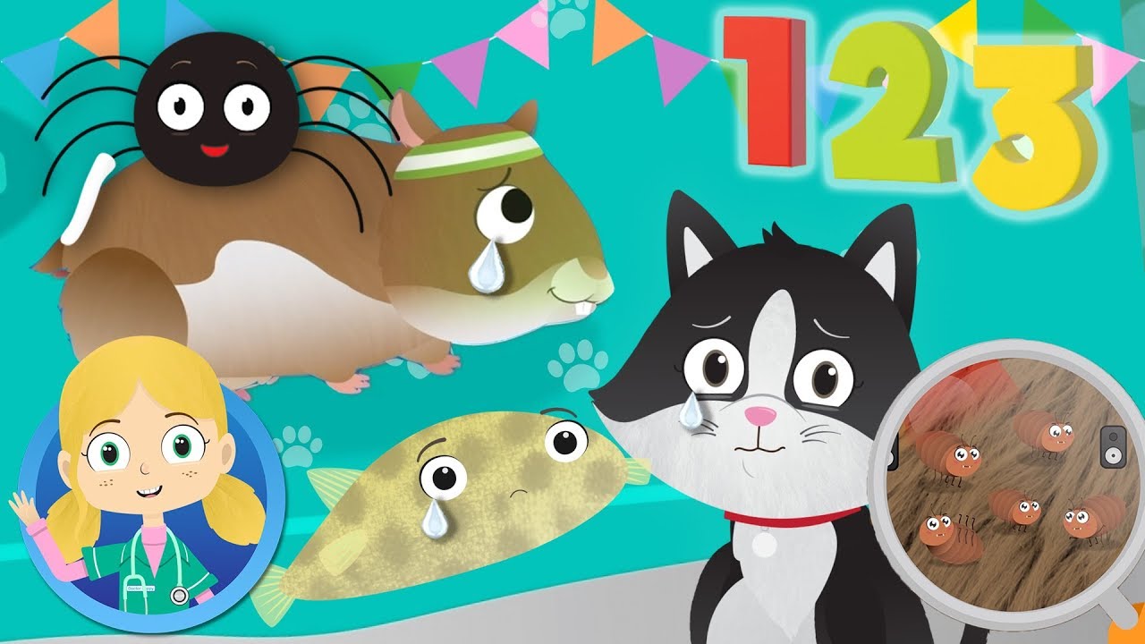 Hamster, Dog, Tortoise, Cat, Spider + other animals visit Doctor Poppy ...