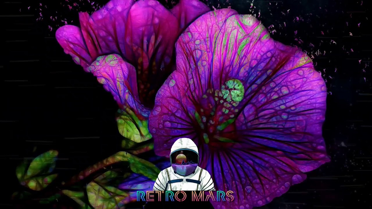 Retro Mars - LSD (visualization) - YouTube