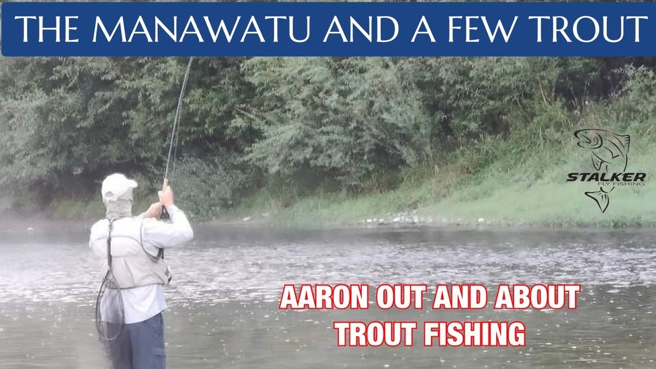 THE MANAWATU AND A FEW TROUT | AARON OUT AND ABOUT TROUT FISHING ...