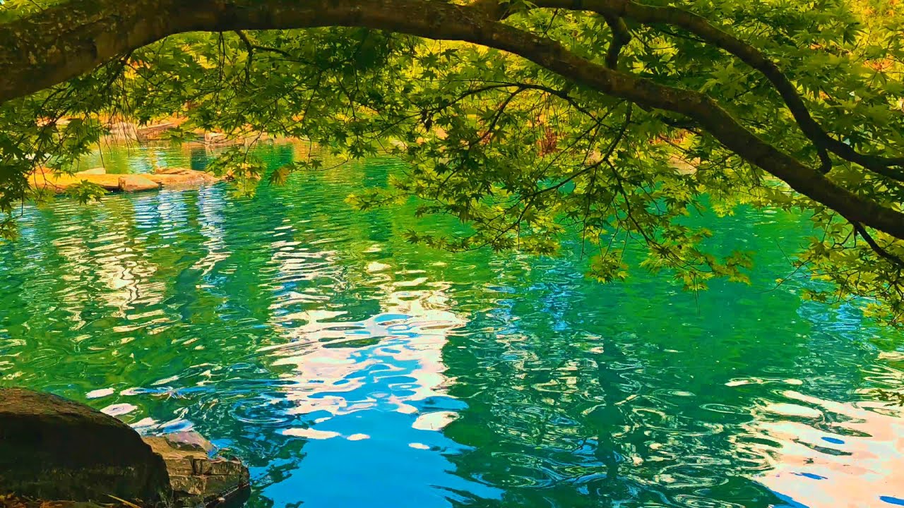 The Relaxation Scenery Of Japanese Garden, relaxing white noise, river ...