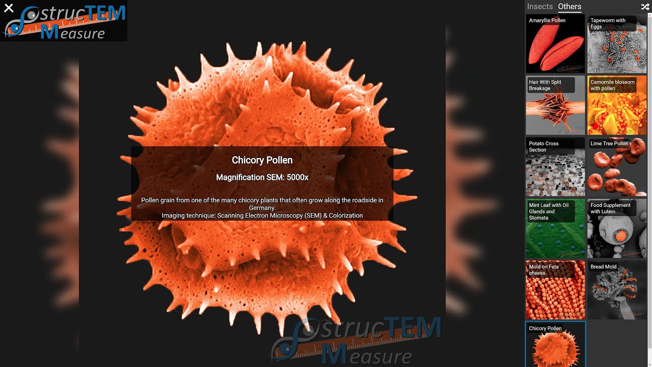 strucTEM Measure: an awsome virtual scanning electron microscope (en) - YouTube