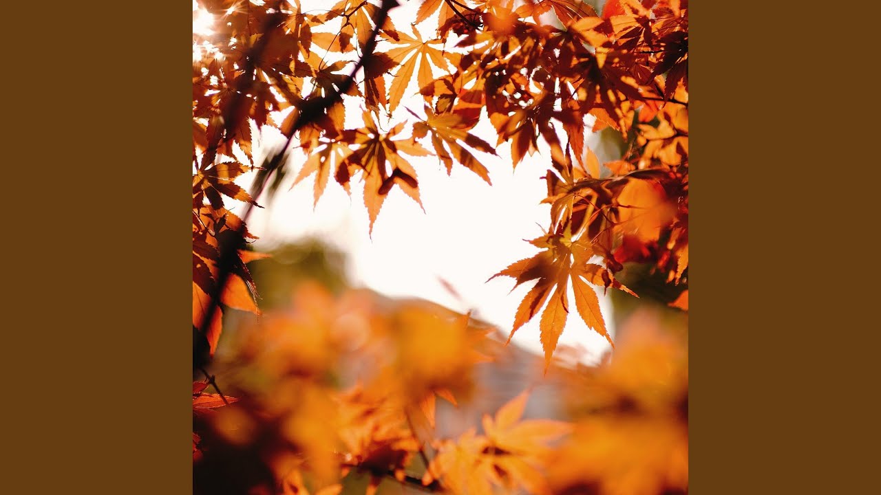 Nostalgic Reflections - YouTube