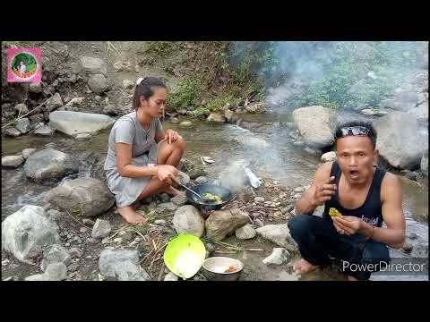 kreasi mengolah sayur bayam jadi makanan yang lezaat dan bergizi tinggi