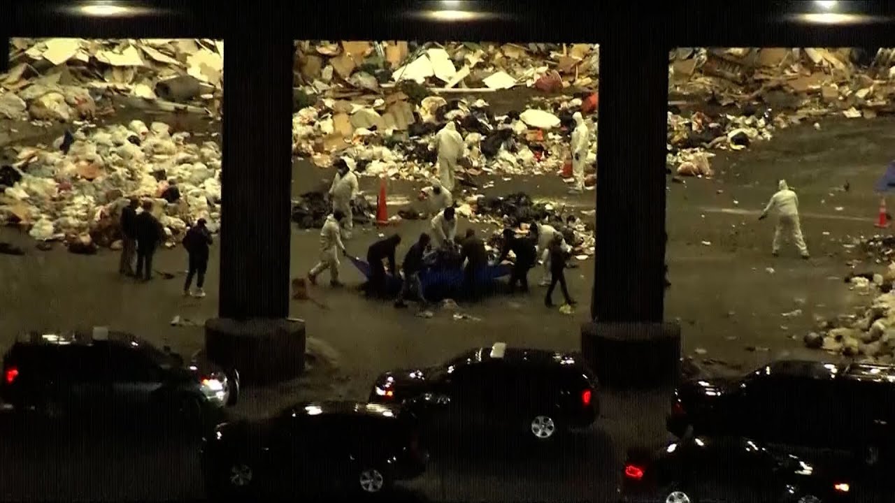 Hacksaw, rug with blood found in search connected to missing woman case ...