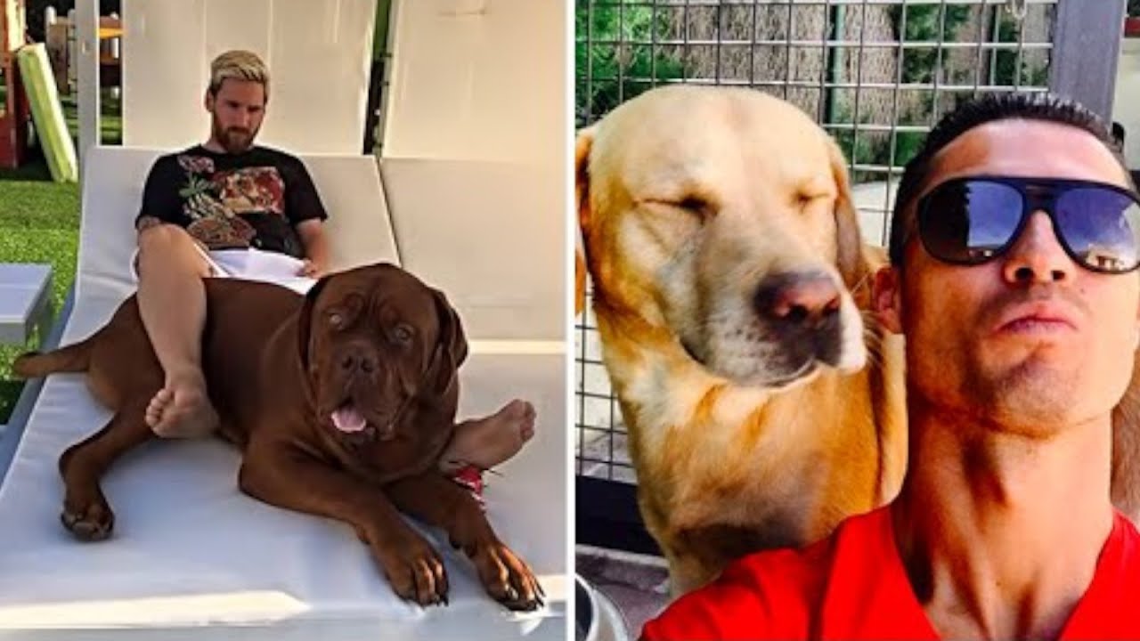 Conoce A Los Perros De Los Futbolistas Famosos - YouTube