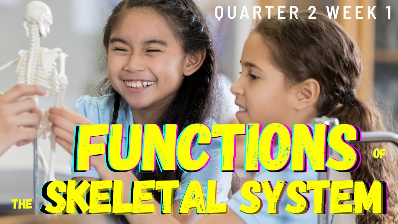 FUNCTIONS OF THE SKELETAL SYSTEM MELC BASED SCIENCE 6 Q2 W1 functions-of-the-skeletal-system-melc-based-science-6-q2-w1