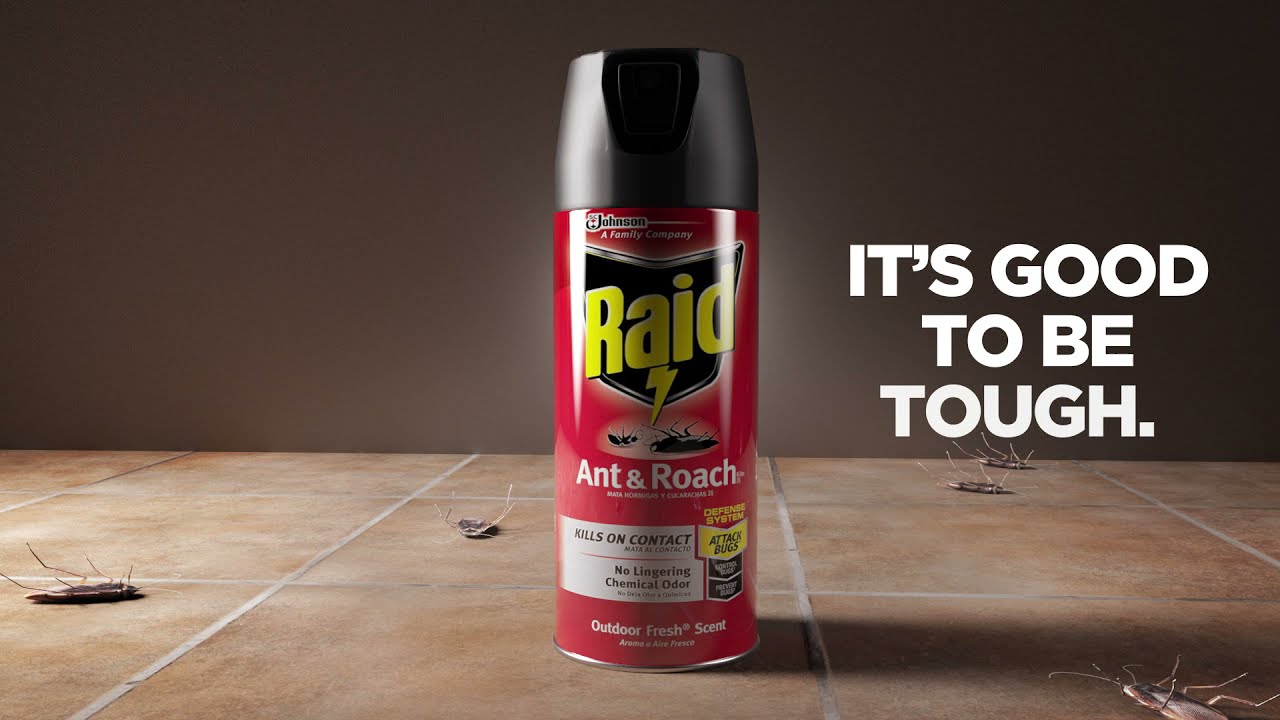 Raid Ant and Roach Client Commercial 2021 (3D Product Animation) - YouTube