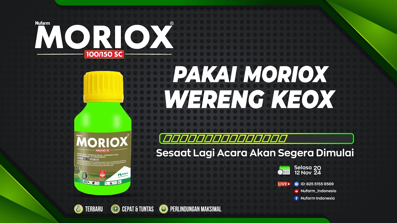 Virtual Launching MORIOX 100/150 SC - YouTube