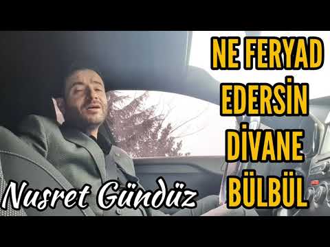 NE FERYAD EDERSİN - NUSRET GÜNDÜZ