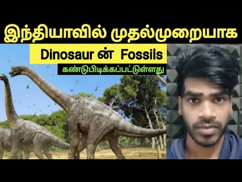 Dinosaur Fossils have been discovered for the first time in India ...