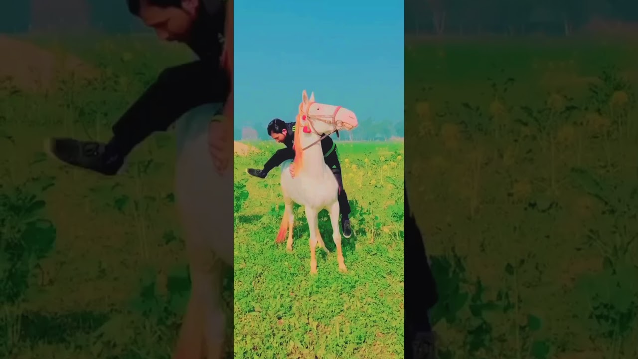 Adnan Jutt Tik Tok Youtube
