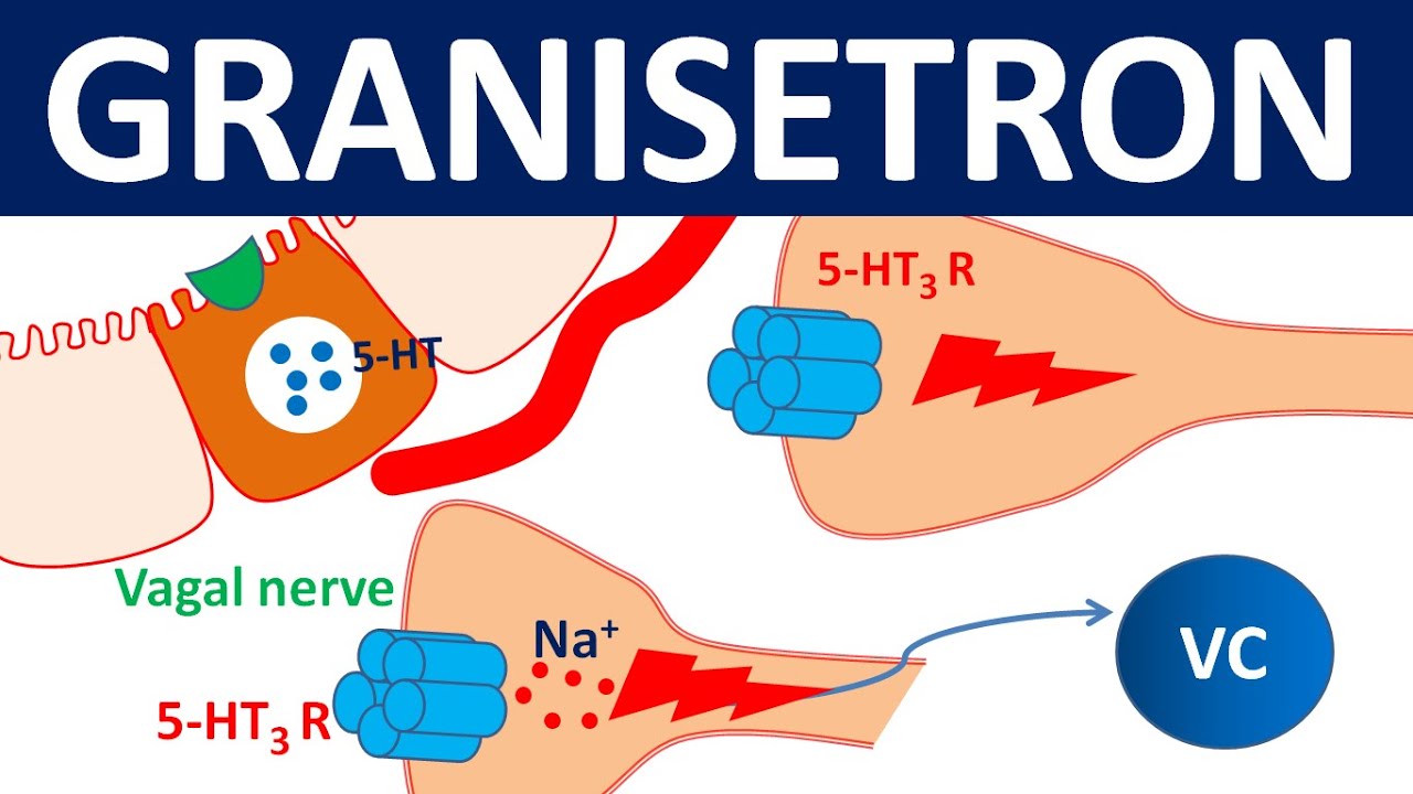 Granisetron as antiemetic | Mechanism, side effects, precautions - YouTube