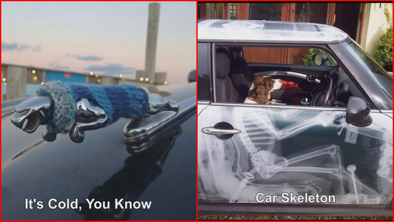 25 Of The Most Creative Car Owners Ever - YouTube