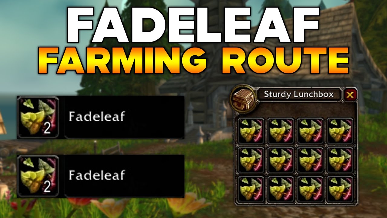 SoD BEST FADELEAF FARMING ROUTES - World of Warcraft Classic - YouTube