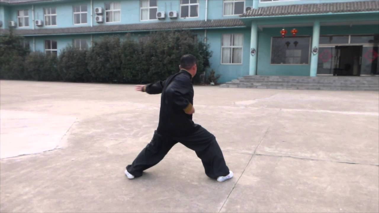 Zhang master - Kung Fu - Shaolin -Sanda - Tai Chi - Qi Gong - Xing Yi ...