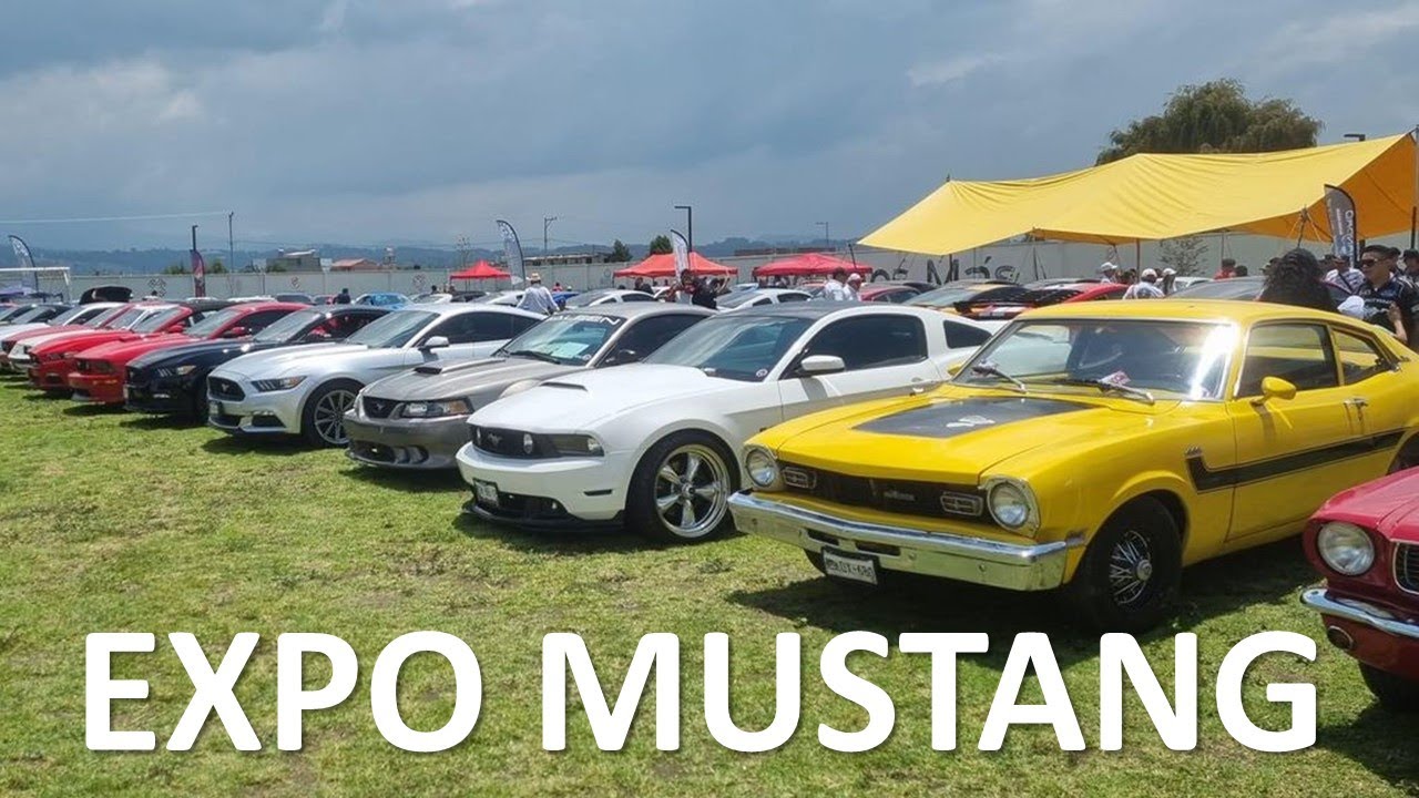 Rodada Expo Mustang Club 2023 Clásicos, Modificados Y Ediciones Especiales Hermandad Galope 3er ...
