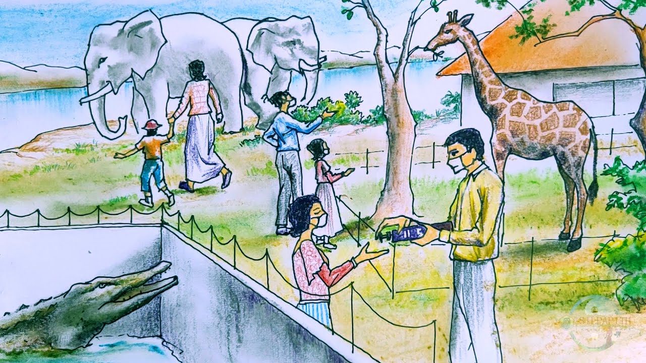 How to draw zoo scenery step by step for beginners || Animals drawing ...