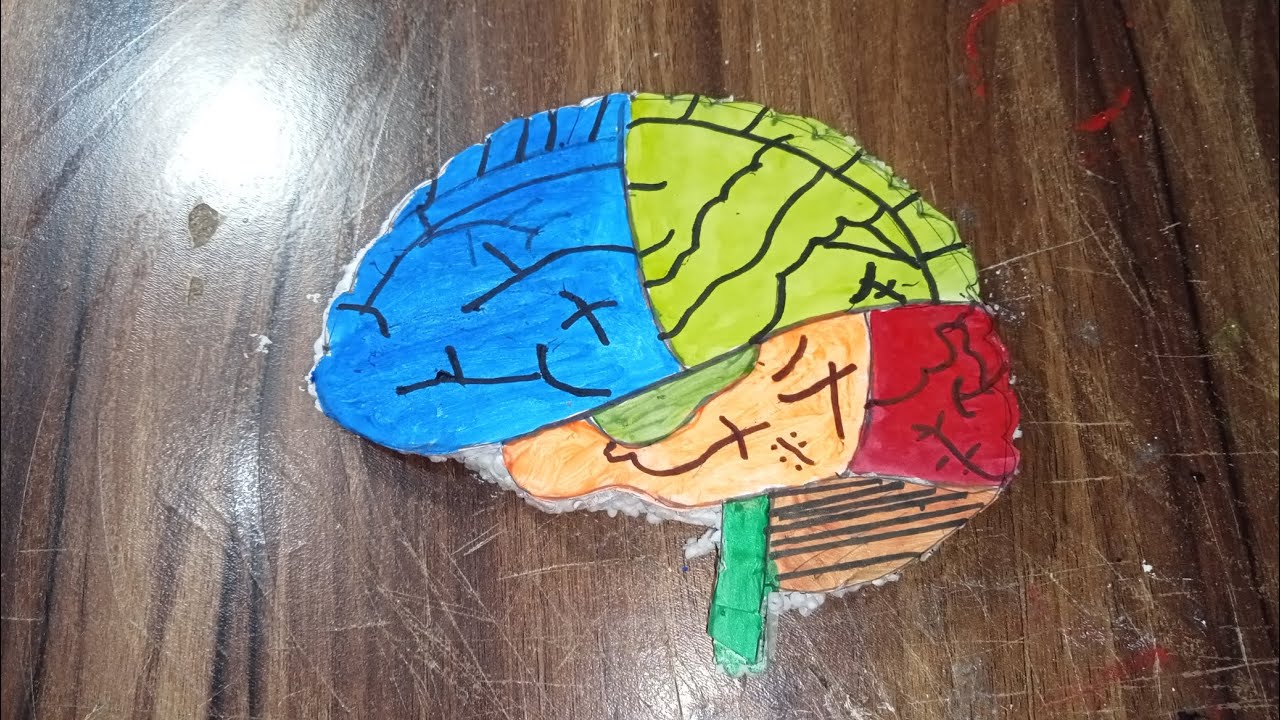 make brain modal - YouTube