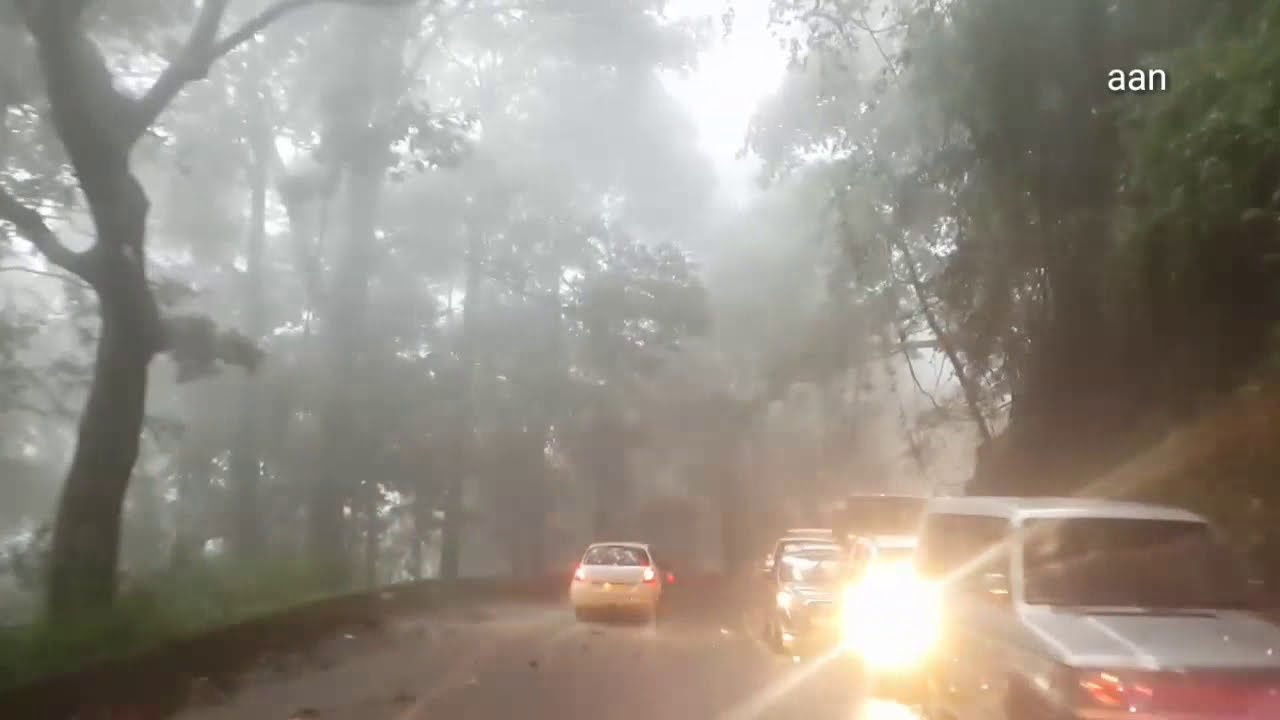 Wayanad Rain - YouTube