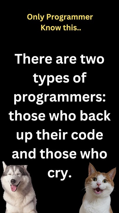Only Programmer know this #13 - YouTube