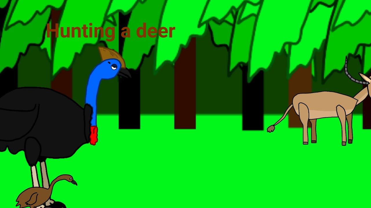Cassowary life: Hunting a deer - YouTube
