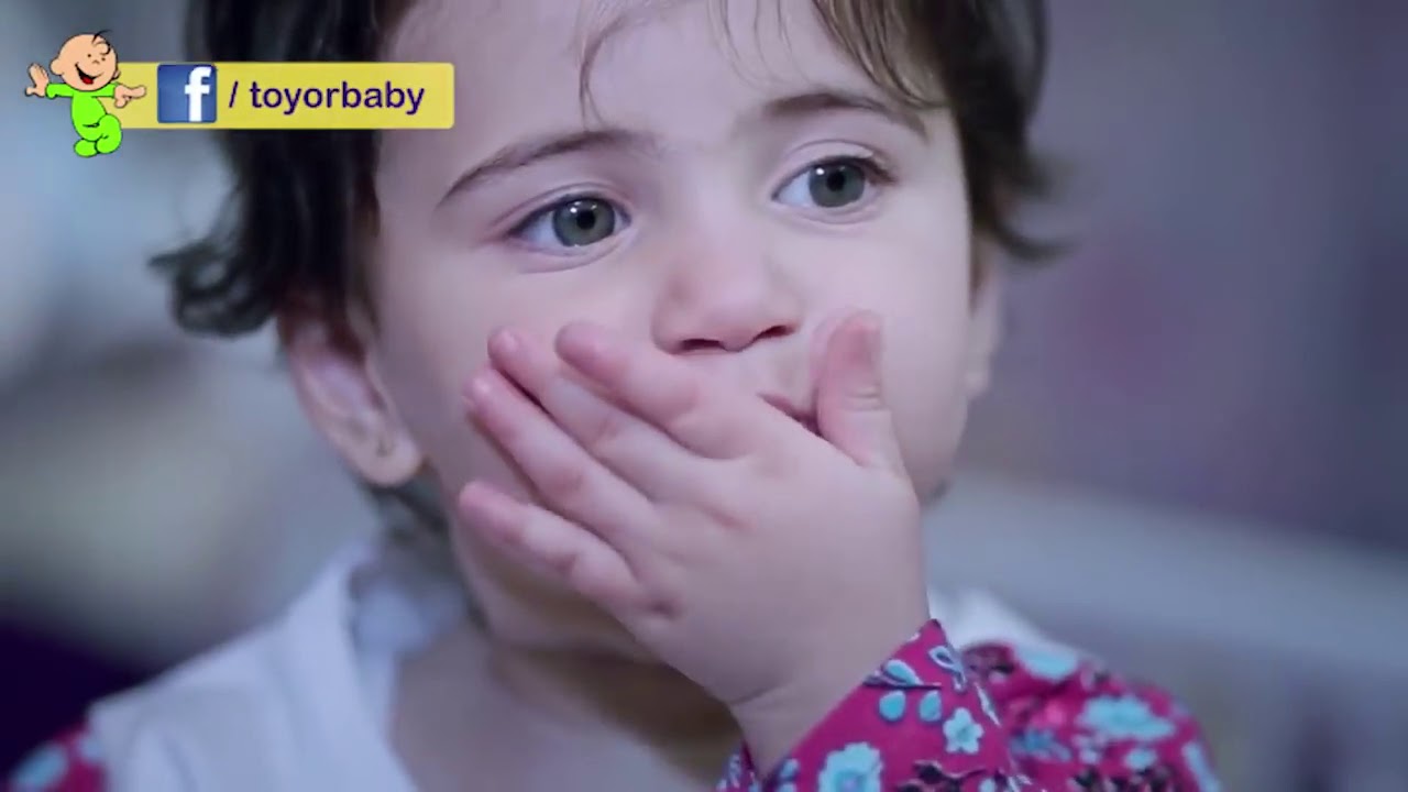 toyor al jannah 2013 HD - YouTube