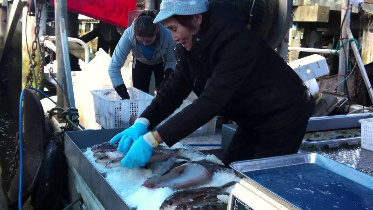 The Fish Market in Steveston, BC - YouTube