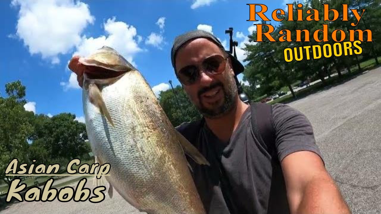 Good Way to Cook Asian Carp - YouTube