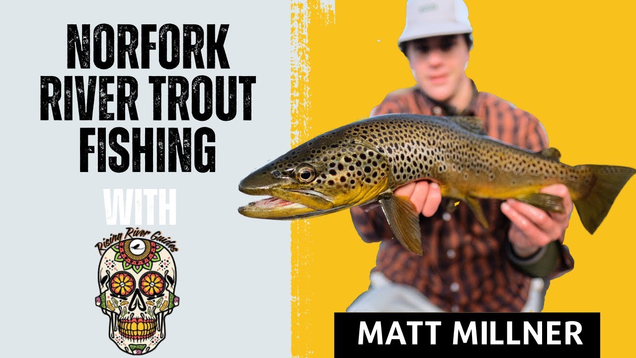 Norfork River Trout Fishing | Beyond The Boat with Rising River Guides ...