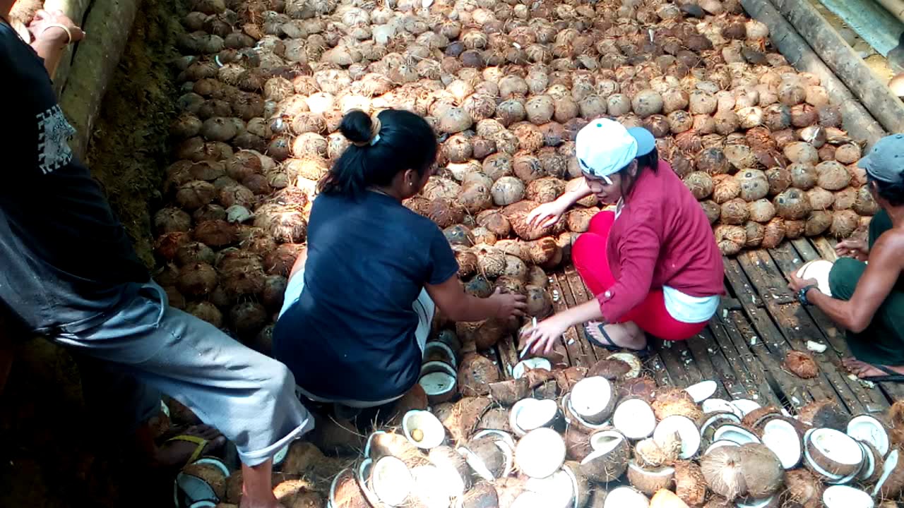 Philippines traditional copra's - YouTube