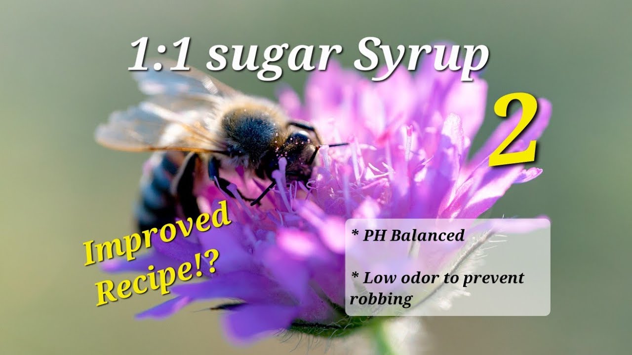 Nutritious and low odor 1:1 sugar syrup recipe for Honeybees, Final ...