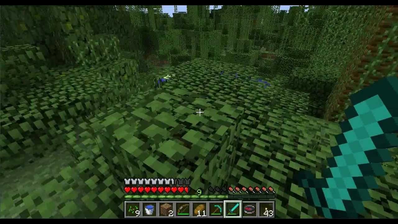 minecraft jungle ep 19 reed farm - YouTube