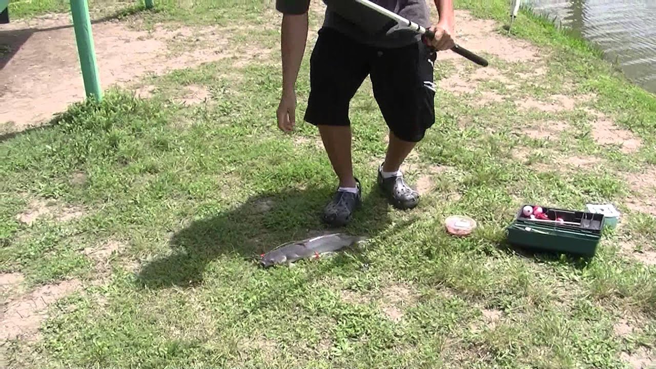 texas catfishing in pond - YouTube