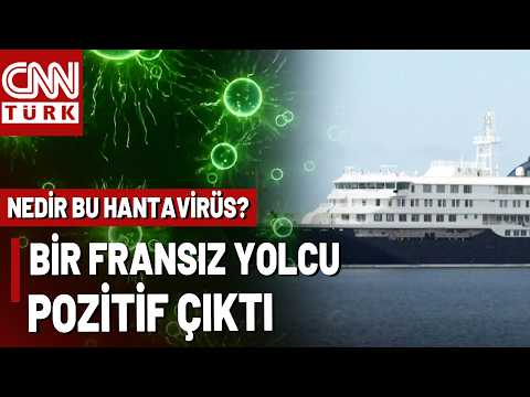 Gemide Patlak Veren Hantavirüs Ne Kadar Ciddi? İnsandan İnsana Bulaşıyor Mu?