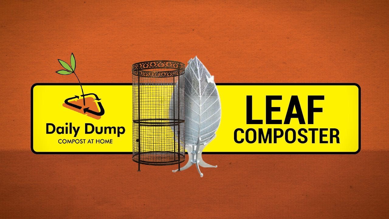 Leaf Composting - the Daily Dump way - YouTube