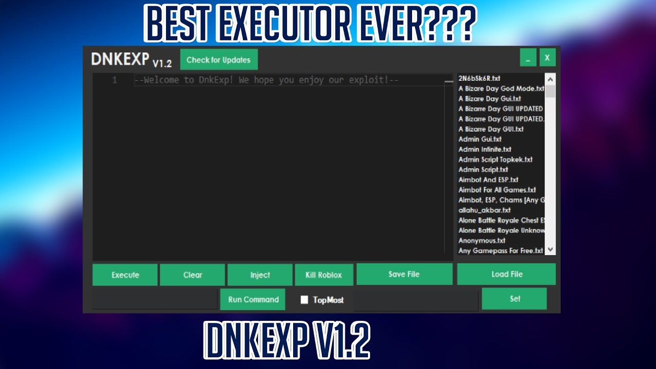 DNKEXP V1.2 | BEST EXECUTOR EVER! - YouTube