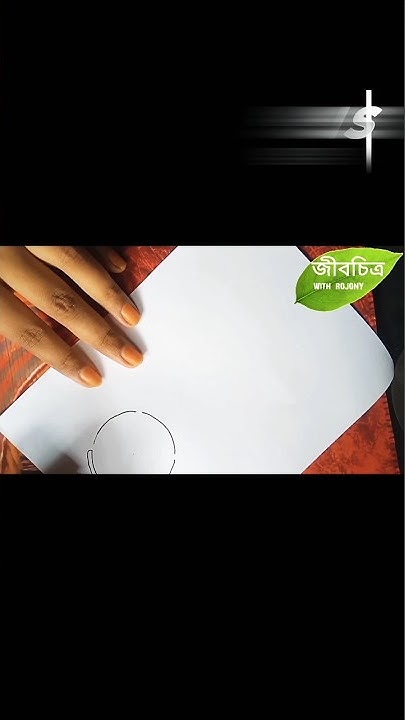 Nucleus Drawing | নিউক্লিয়াস - YouTube