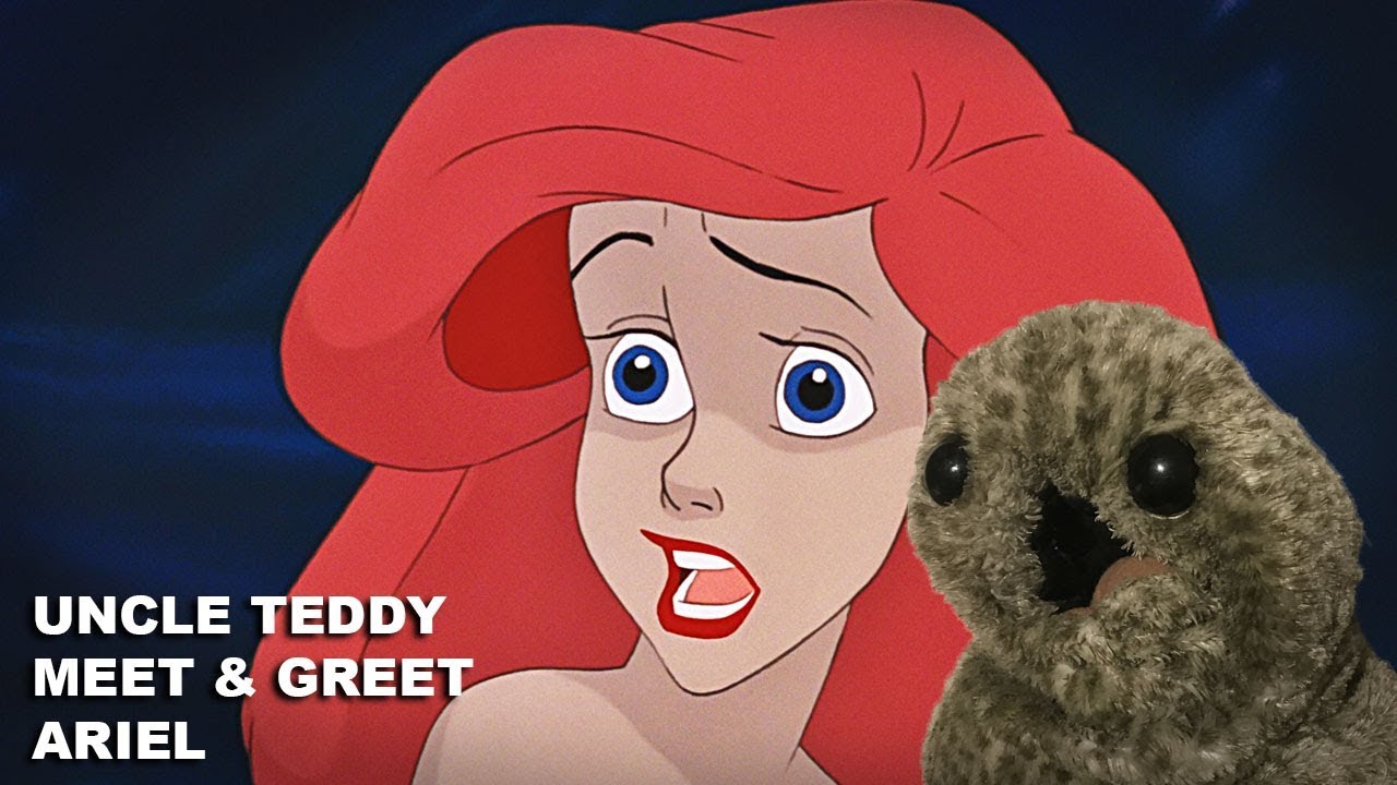 Uncle Teddy Puppet Disney World Magic Kingdom Meet and Greet with Ariel ...