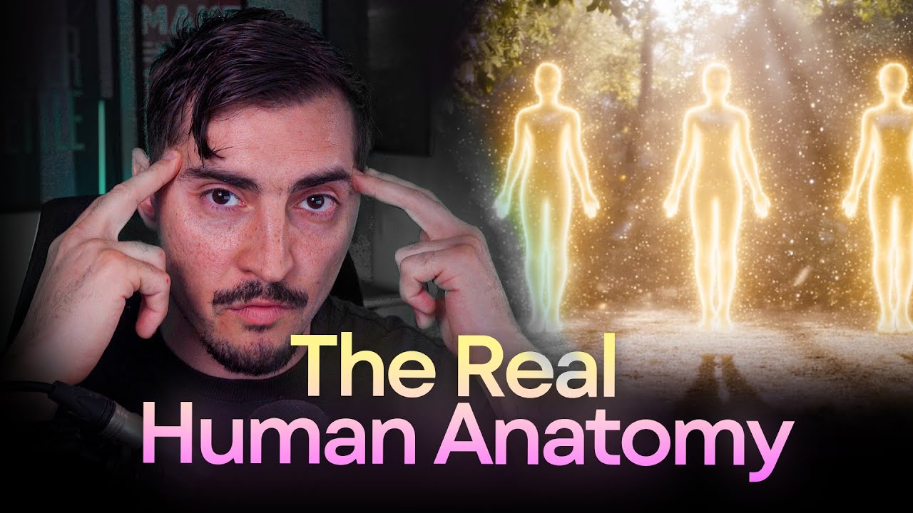 The Real Anatomy of the Human Being - YouTube
