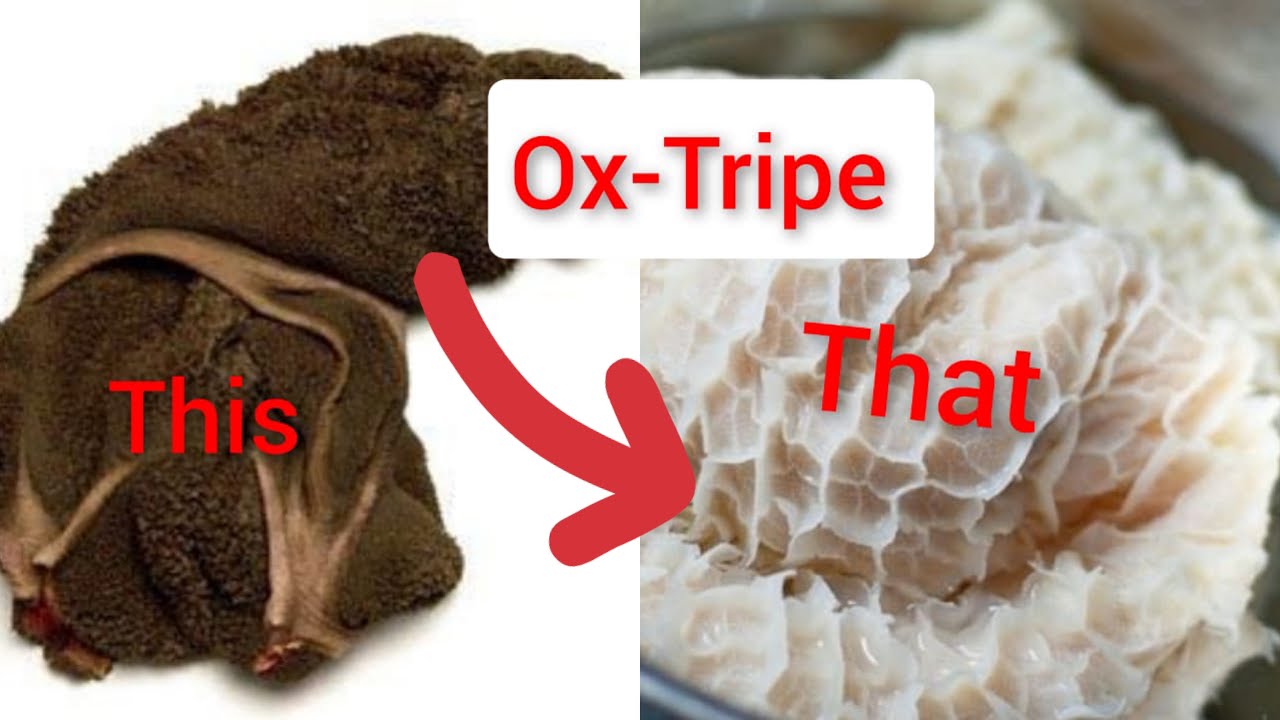Easy method on How to clean ox-tripe from dark to white - YouTube
