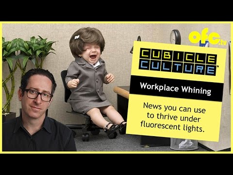Cubicle Culture - Workplace Whining - YouTube