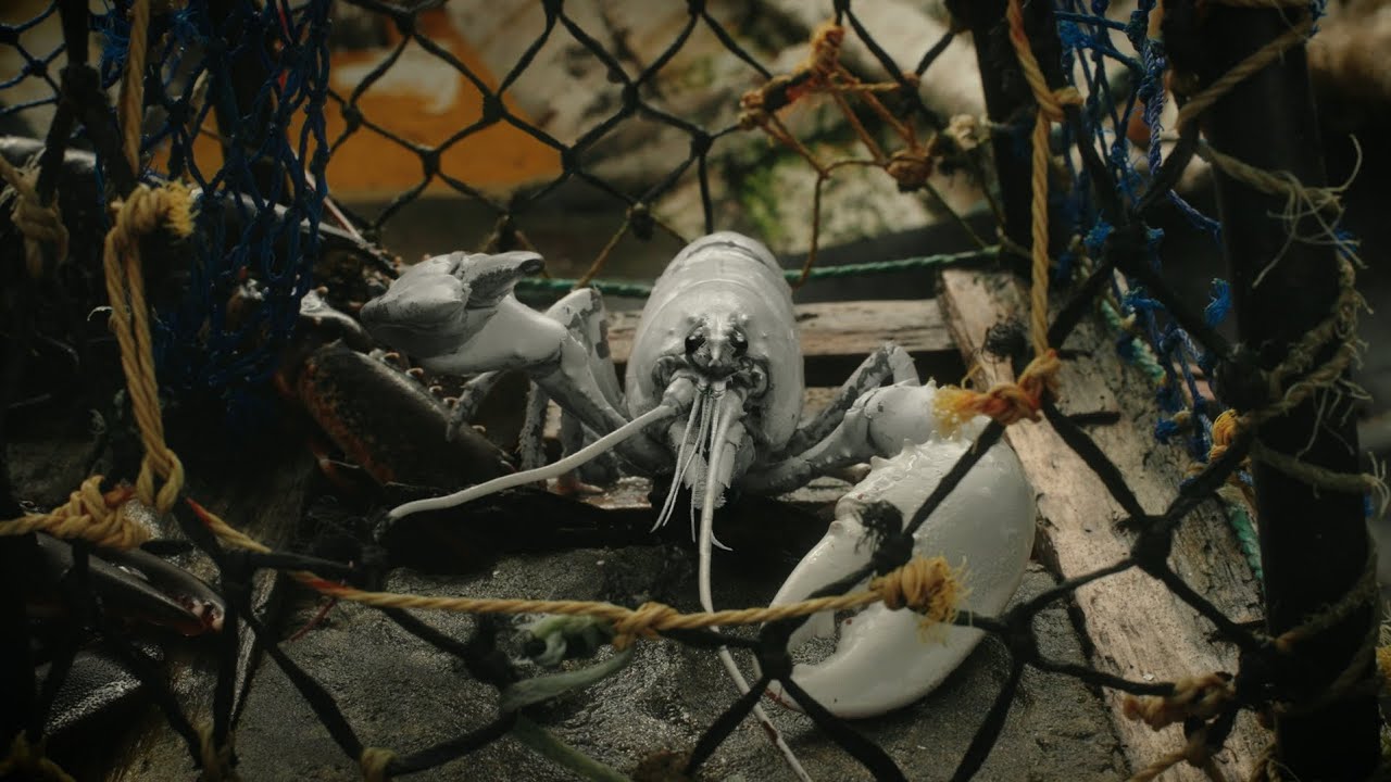 The White Lobster | Official Trailer (Horror Short) - YouTube