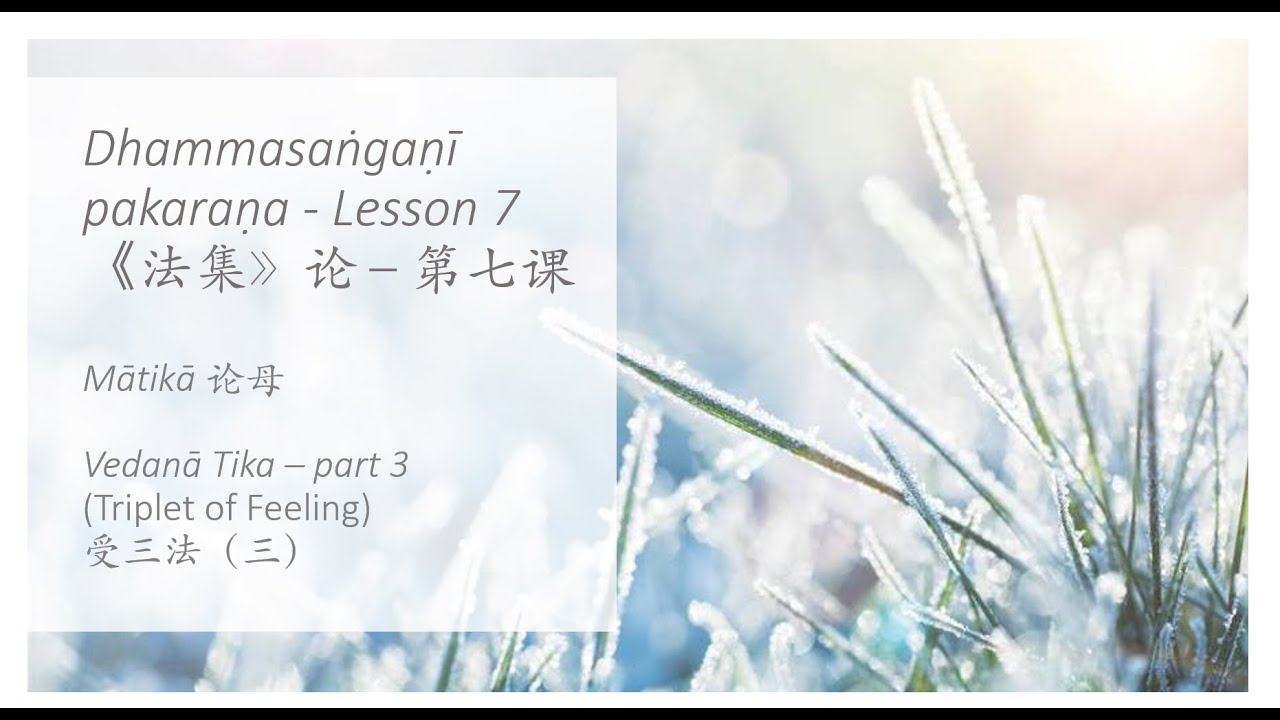 Dhammasaṅgaṇī pakaraṇa lesson 7 (English and Chinese) - 30.06.2024 ...