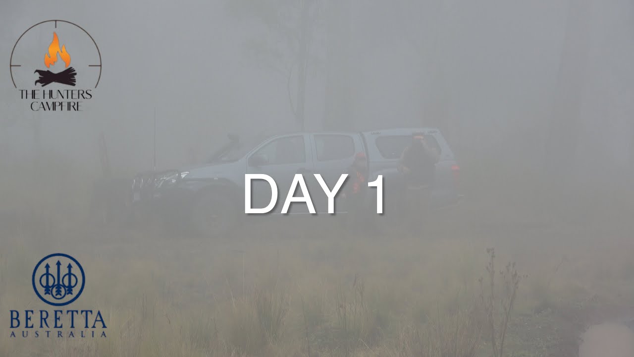 HCTV - Fallow Deer Hunt - Winter Deer Camp 2022 - Nundle State Forest ...