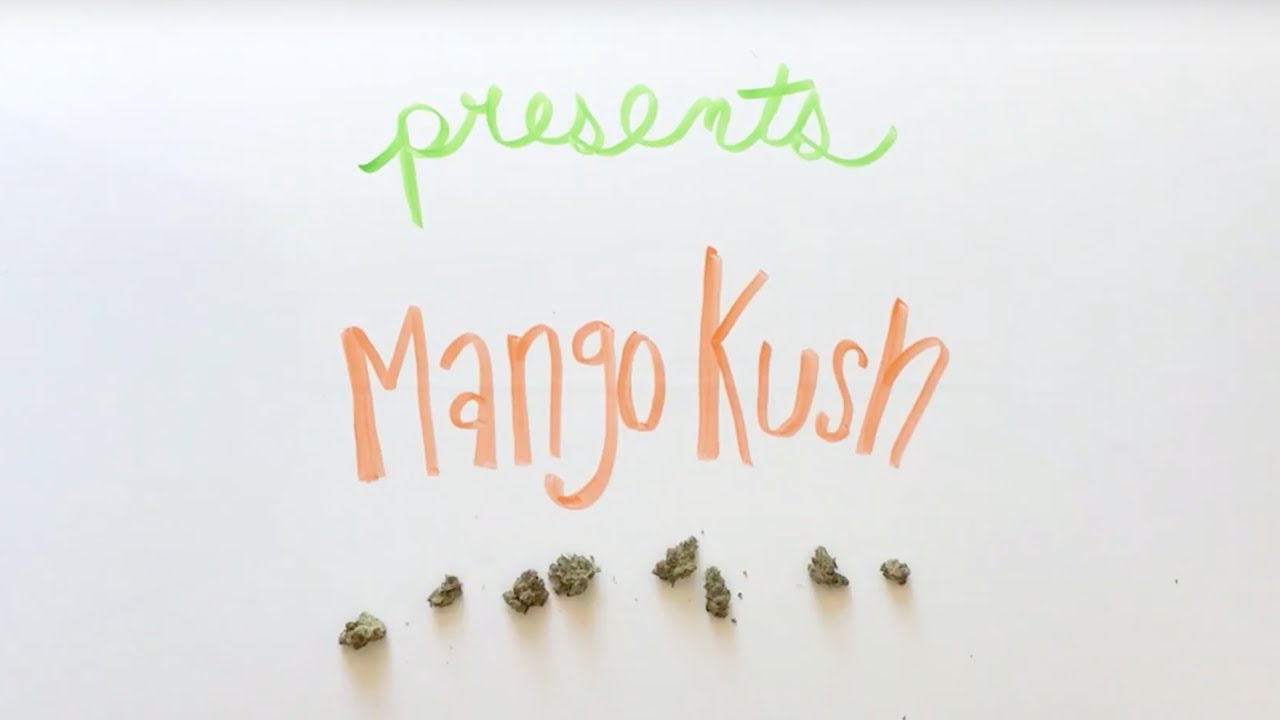 Mango Kush Strain Review - YouTube